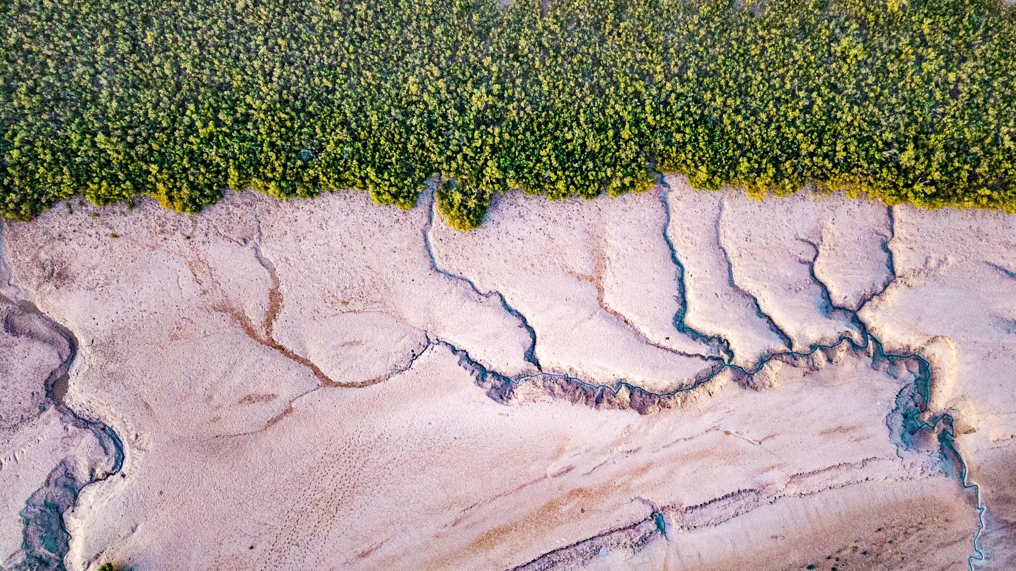 Aerial View of Mangrove Tidal Channels – Pardoo, East Pilbara – Riptide ...